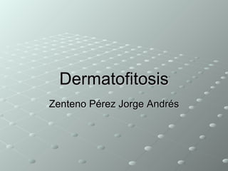 Dermatofitosis | PPT