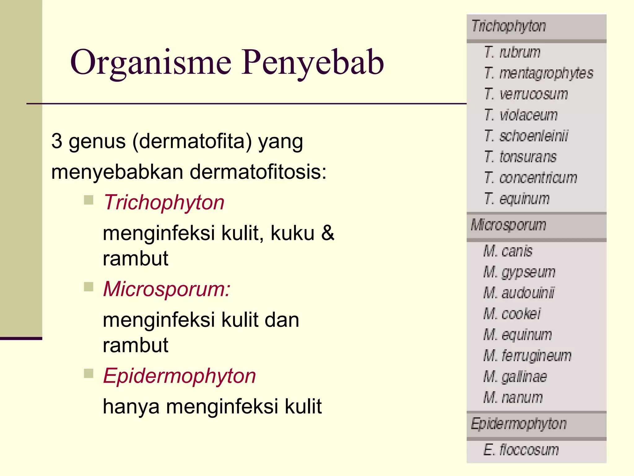 Dermatofitosis | PPT