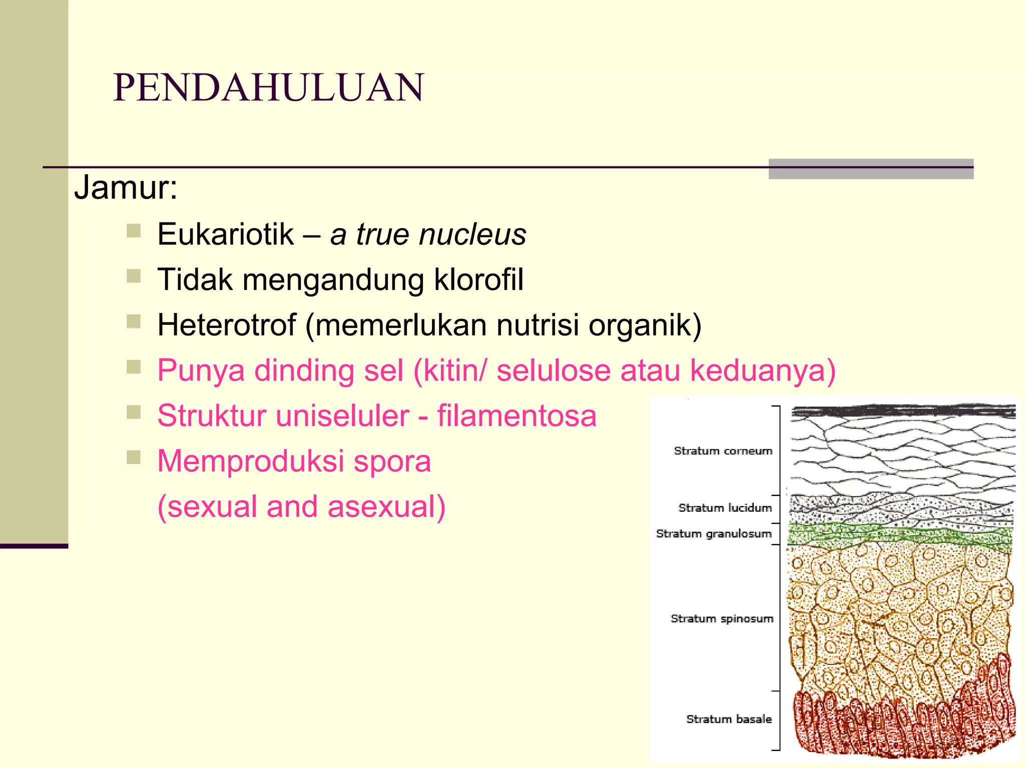 Dermatofitosis | PPT
