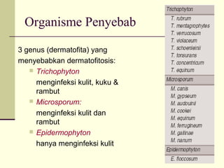 Dermatofitosis | PPT