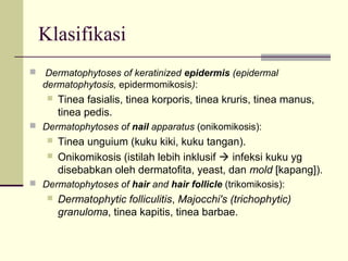 Dermatofitosis | PPT
