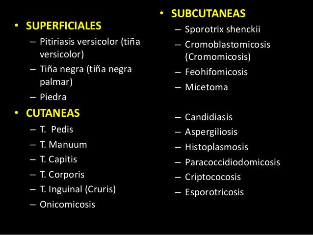 micosis cutanea (dermatofitos)