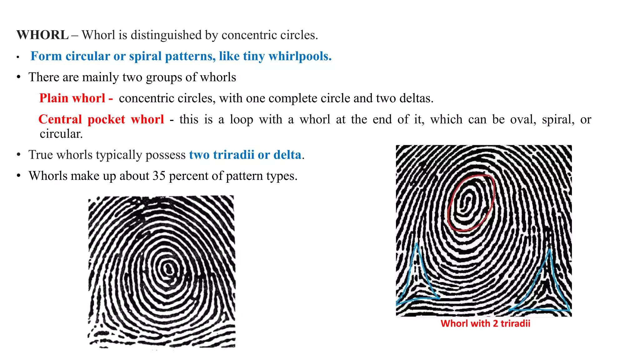DERMATOGLYPHICS.pptx by shree charan N | PPTX