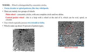 DERMATOGLYPHICS.pptx by shree charan N | PPTX