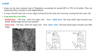 DERMATOGLYPHICS.pptx by shree charan N | PPTX
