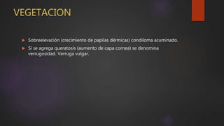 Dermatología lesiones elementales. | PPTX