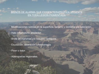 DermatologíA En Ap 2 | PPT