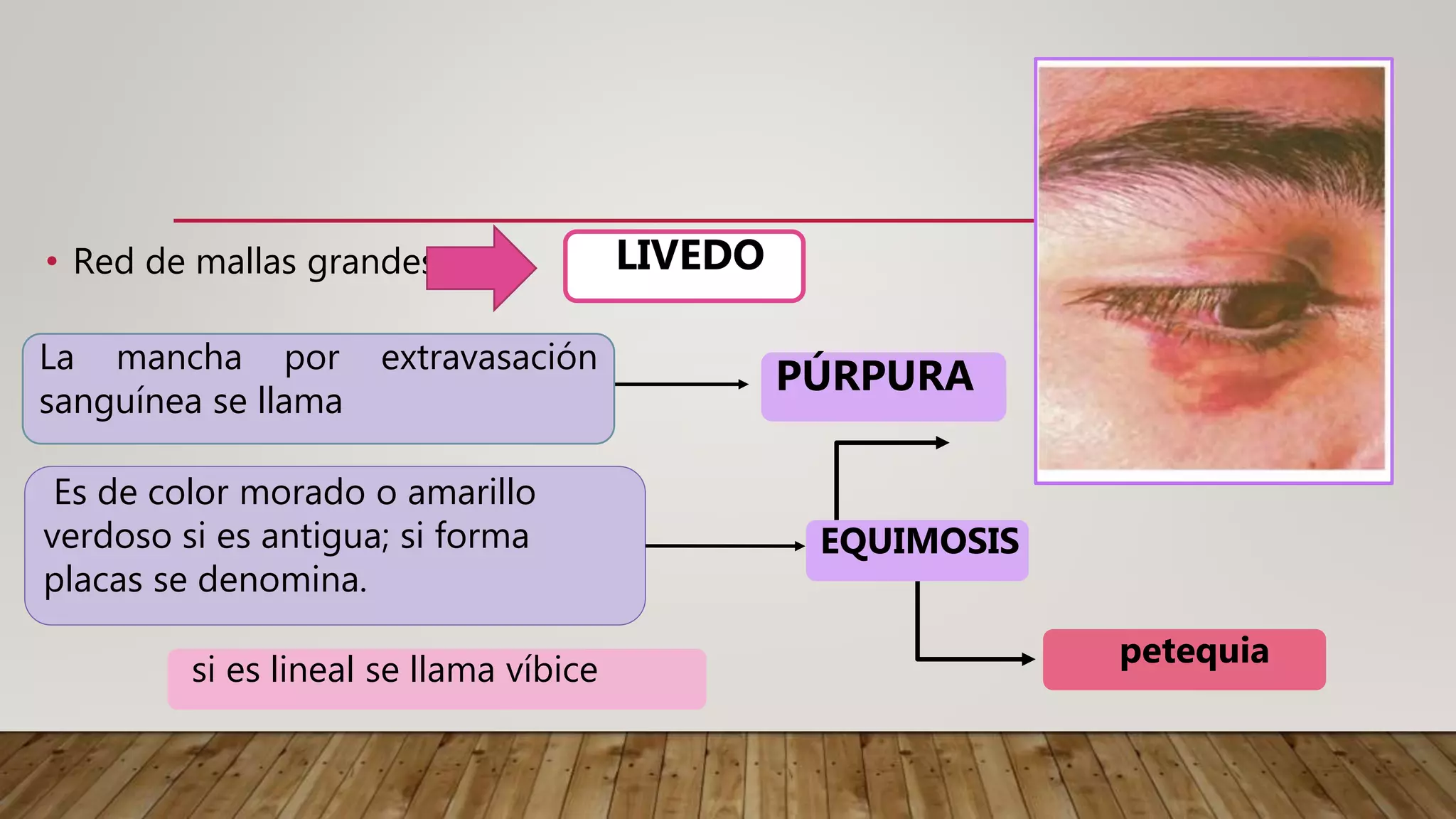 Dermatologia | PPTX
