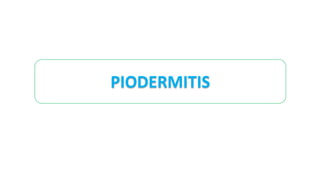 ACNÉ Y PIODERMITIS | PPTX | Skin and Dermatology | Diseases and Conditions
