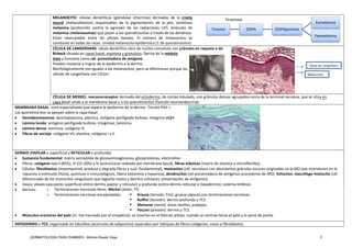 Dermatología para Dummies CORREGIDO - Mónica Rueda Vega.pdf