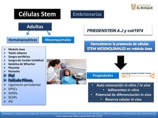 Dermatologia Regenerativa: Células Madre en dermatología | PPTX