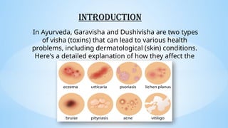 DERMATOLOGICAL CONDITION DUE TO GAR VISHA AND DUSHI VISHA (1).pptx
