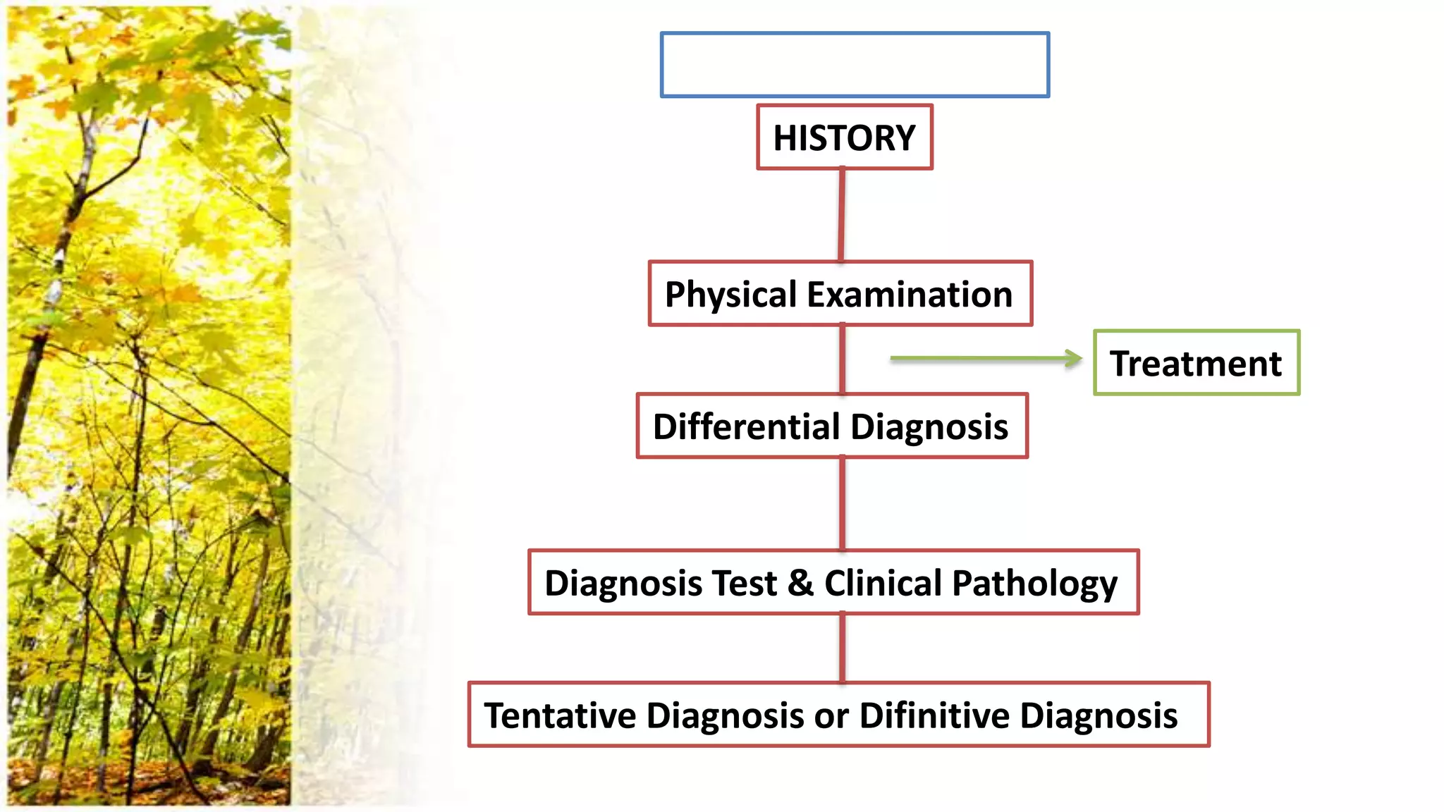 Dermatological history and examination | PPTX