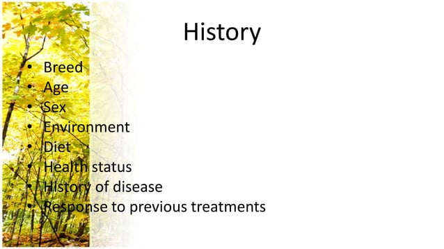 Dermatological history and examination | PPTX