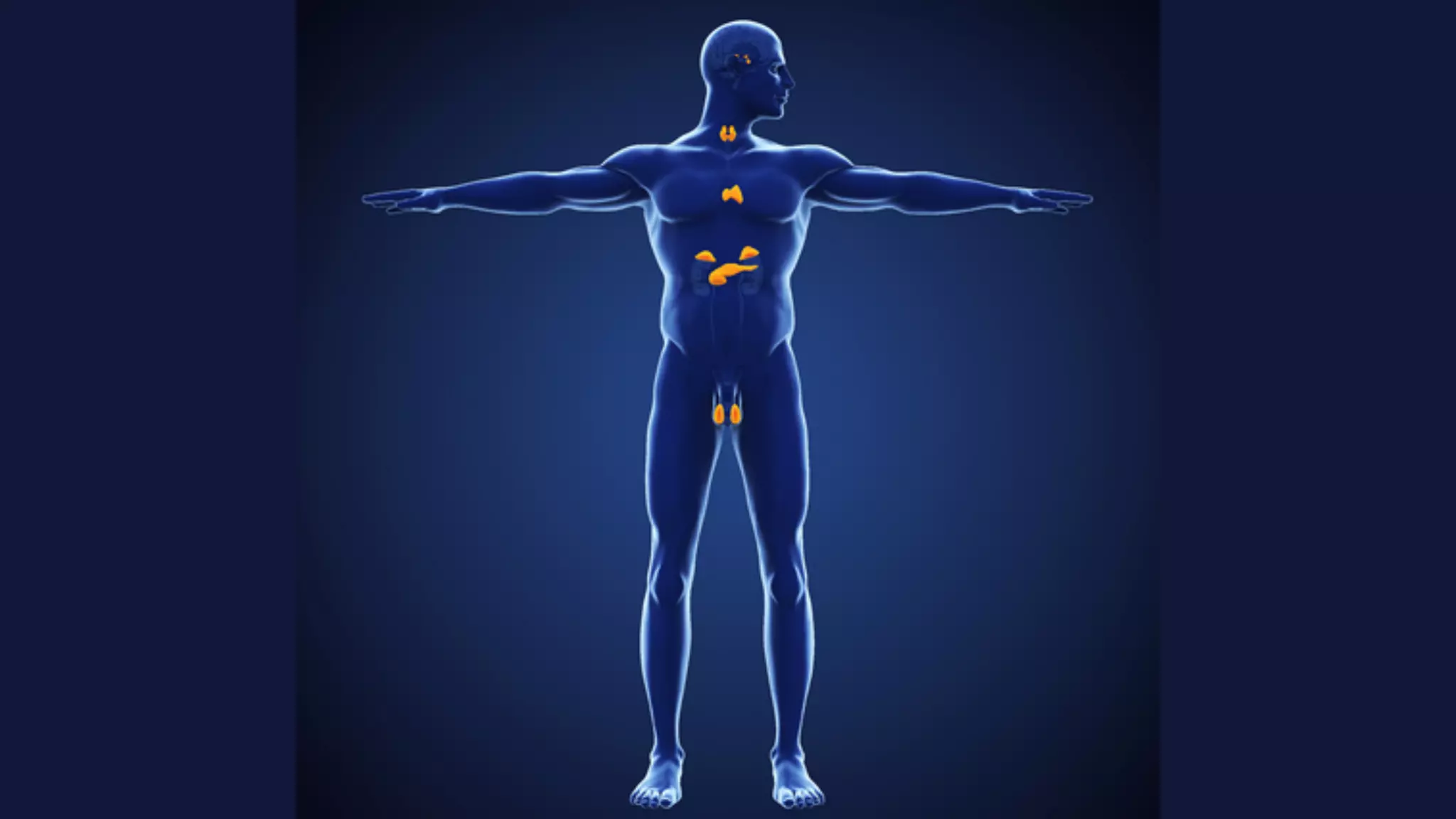 Dermatologic Manifestations of Systemic Diseases.pdf