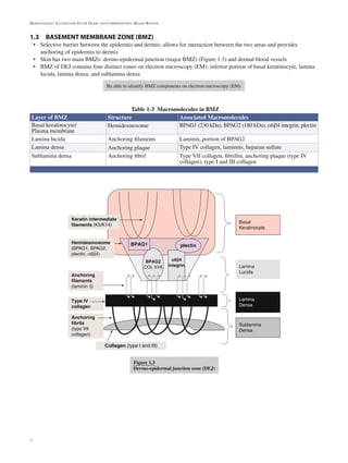 Dermatology | PDF