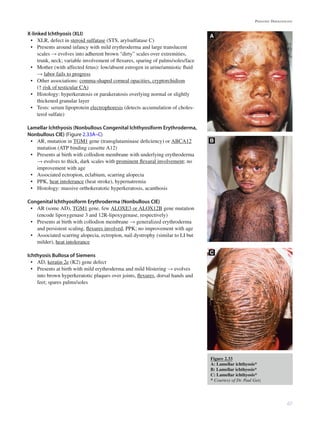 Dermatology | PDF