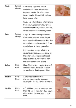 Dermatology | PDF