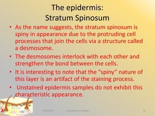 Dermatology | PDF
