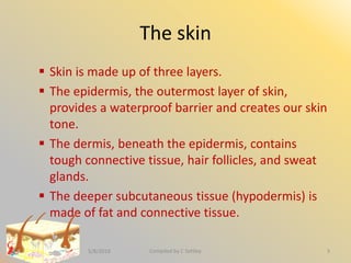 Dermatology | PDF