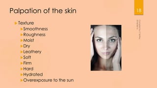 Dermatology | PDF