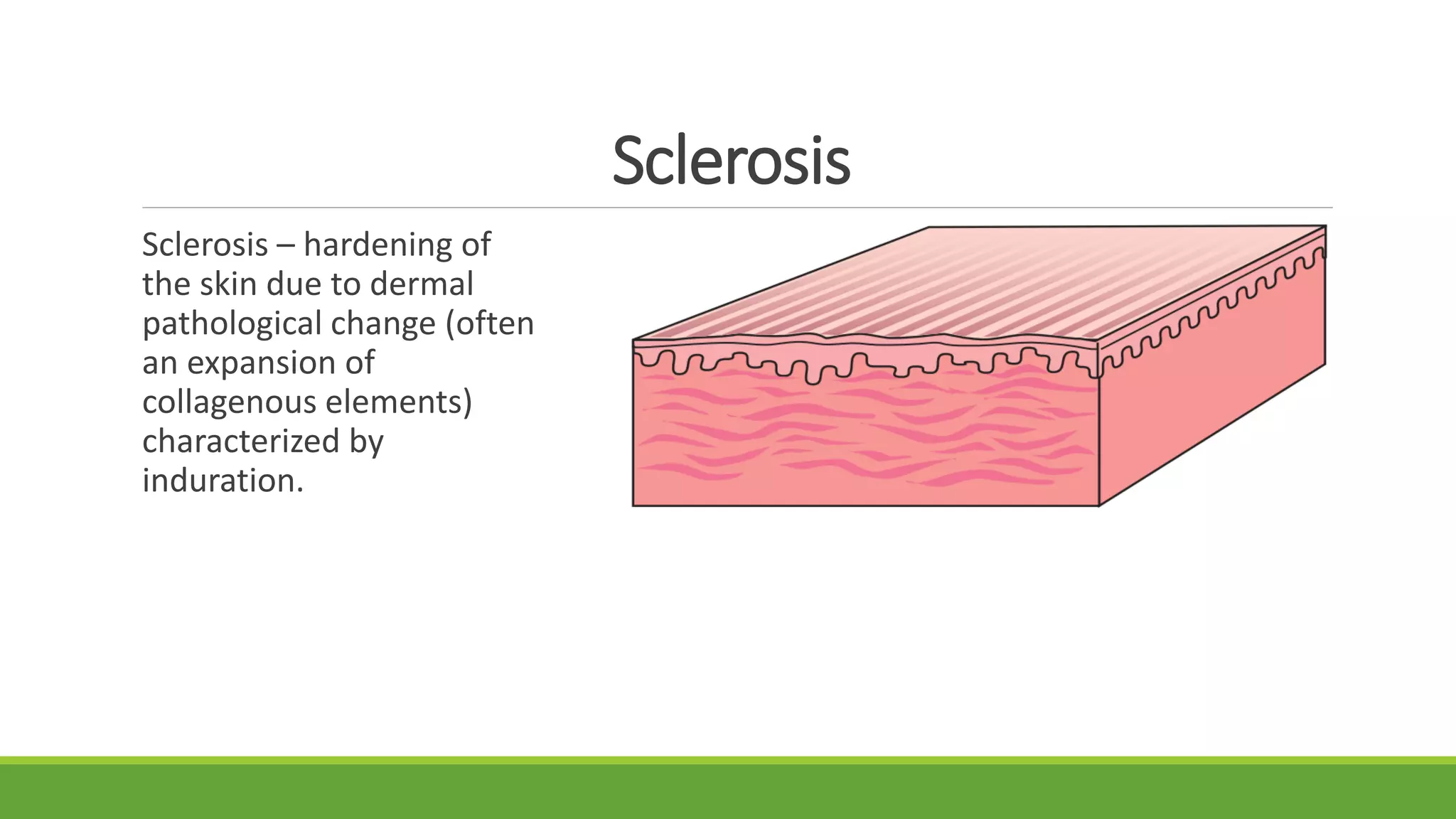 Introduction to Dermatology | PDF