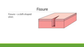 Introduction to Dermatology | PDF