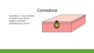 Introduction to Dermatology | PDF | Skin and Dermatology | Diseases and ...