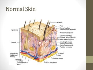 Dermatology | PPTX