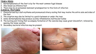 DERMATOLOGY COG LECTURE 1.pdcghkgfhfgyyf | PPT