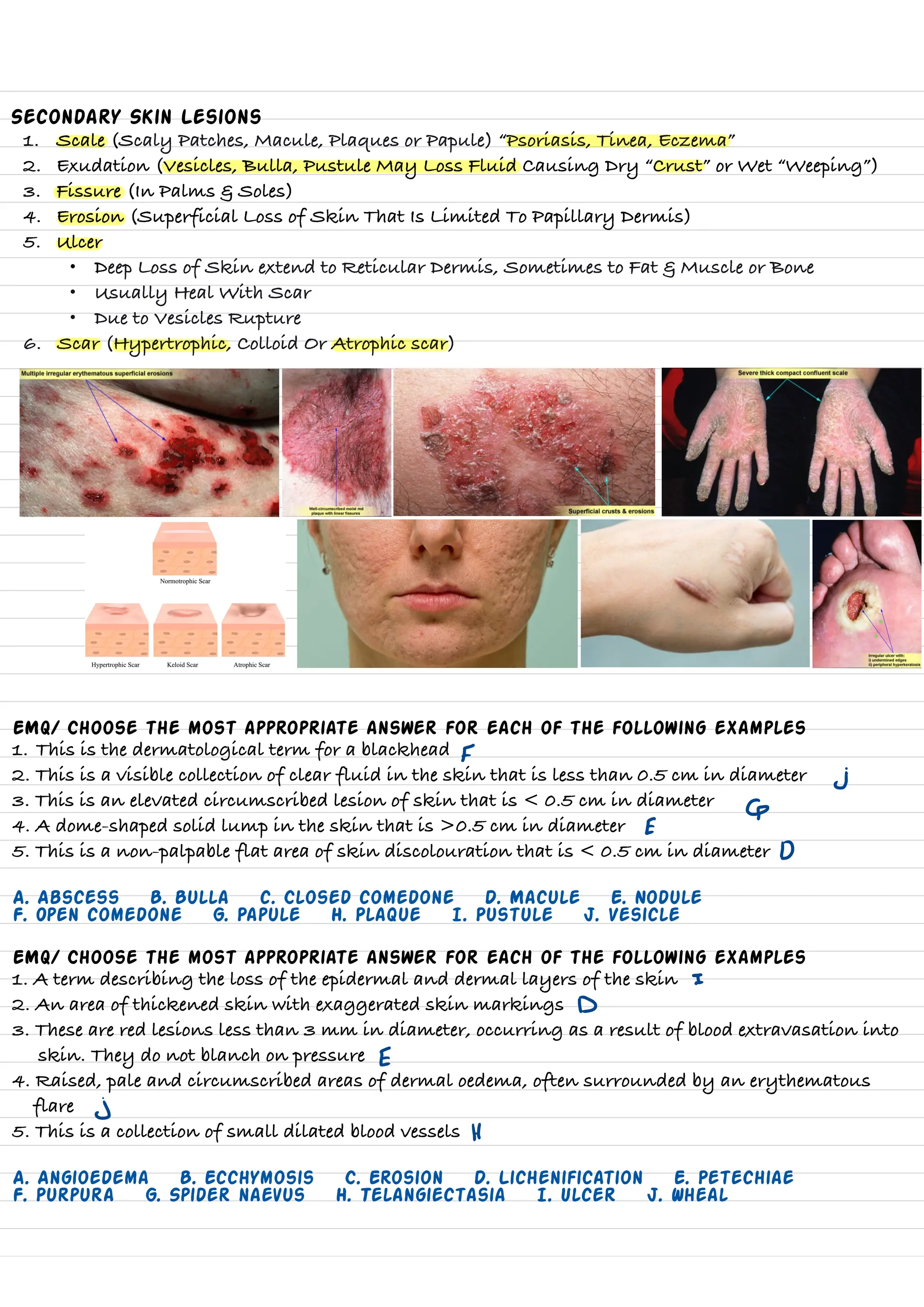 Dermatology introduction (special sens).pdf