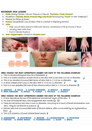 Dermatology introduction (special sens).pdf