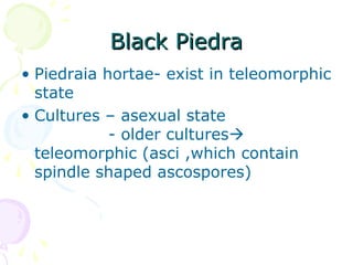 Dermatology(mycoses) | PPT