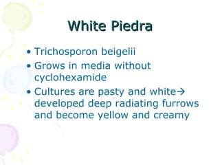 Dermatology(mycoses) | PPT