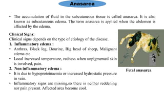 Dermatology shuvo | PPT