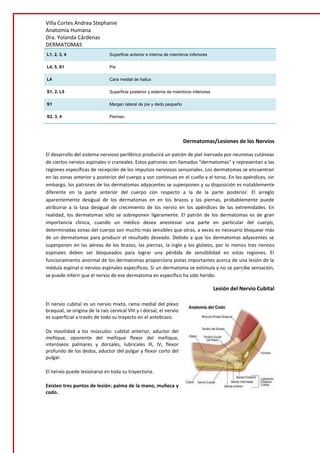 Dermatomas | DOCX