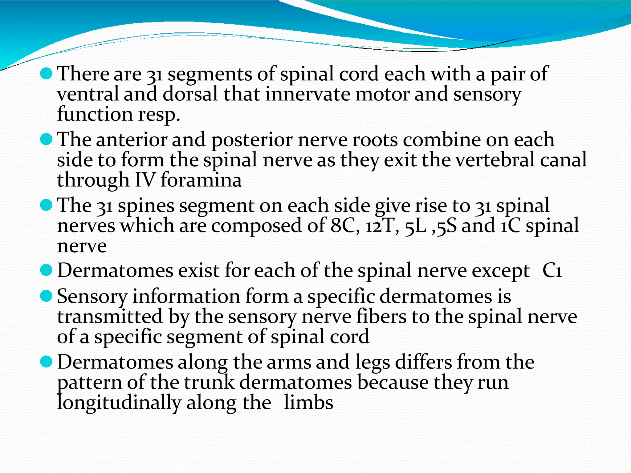 dermatome.pptx sjsjjsjjsjjjsjjsjsjjsjejjsjjsjejje | PPT