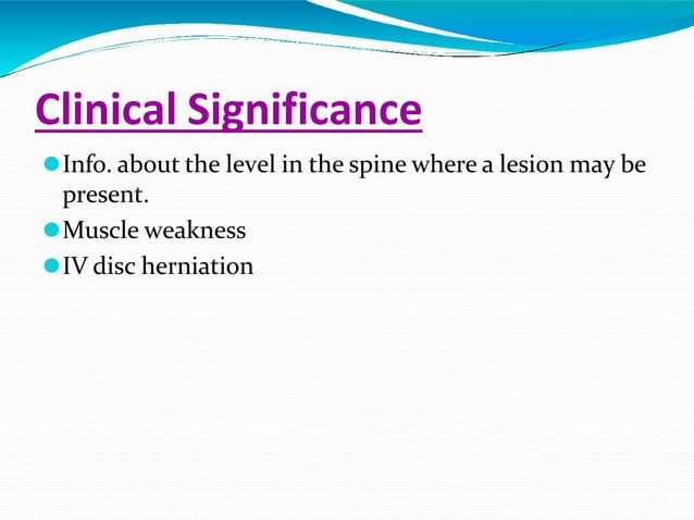 Dermatome Pptx Sjsjjsjjsjjjsjjsjsjjsjejjsjjsjejje Ppt