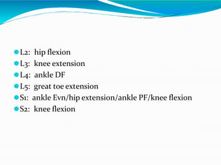 dermatome.pptx sjsjjsjjsjjjsjjsjsjjsjejjsjjsjejje | PPTX