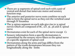 dermatome.pptx sjsjjsjjsjjjsjjsjsjjsjejjsjjsjejje | PPTX