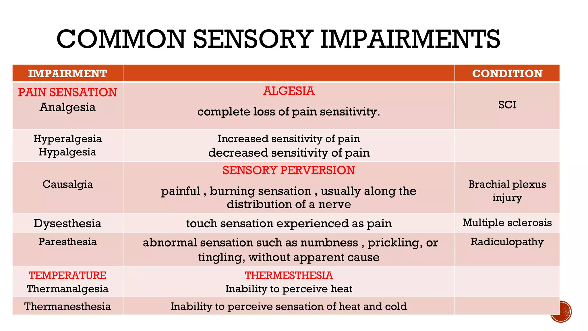 DERMATOME OF LOWERLIMB.pptx