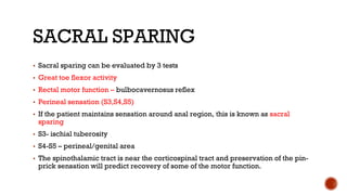 DERMATOME OF LOWERLIMB.pptx