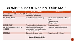 DERMATOME OF LOWERLIMB.pptx