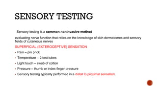 DERMATOME OF LOWERLIMB.pptx
