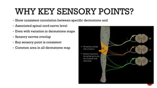 DERMATOME OF LOWERLIMB.pptx