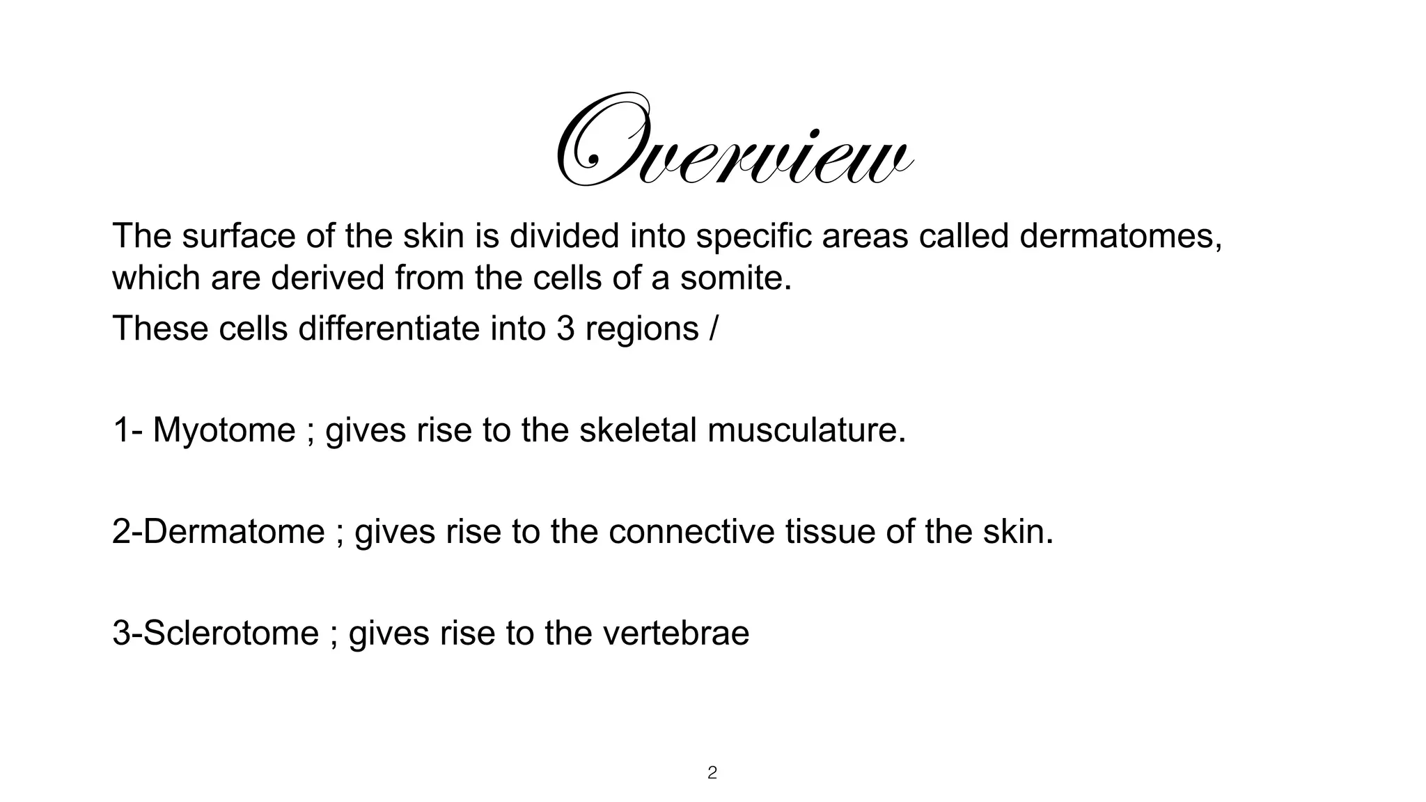 Dermatomes & some relevant stuff | PPT