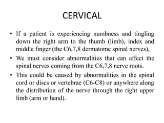 Dermatomes (2) | PPTX