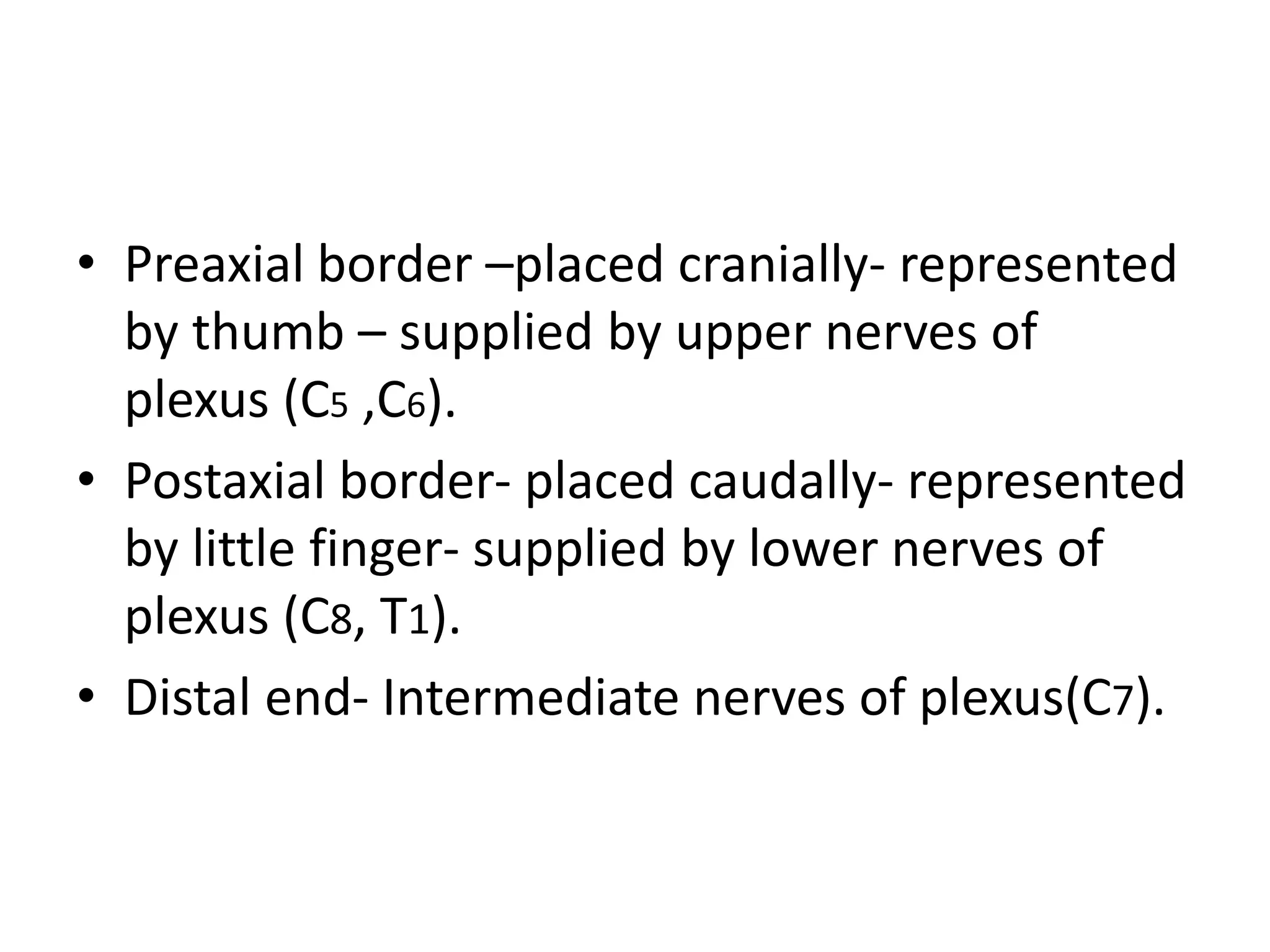 dermatomes and development of limbs copy.pptx | Death, Injury, or ...