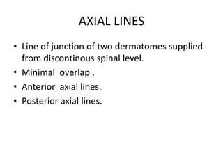 dermatomes and development of limbs copy.pptx | Death, Injury, or ...