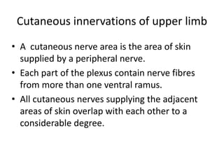 dermatomes and development of limbs copy.pptx
